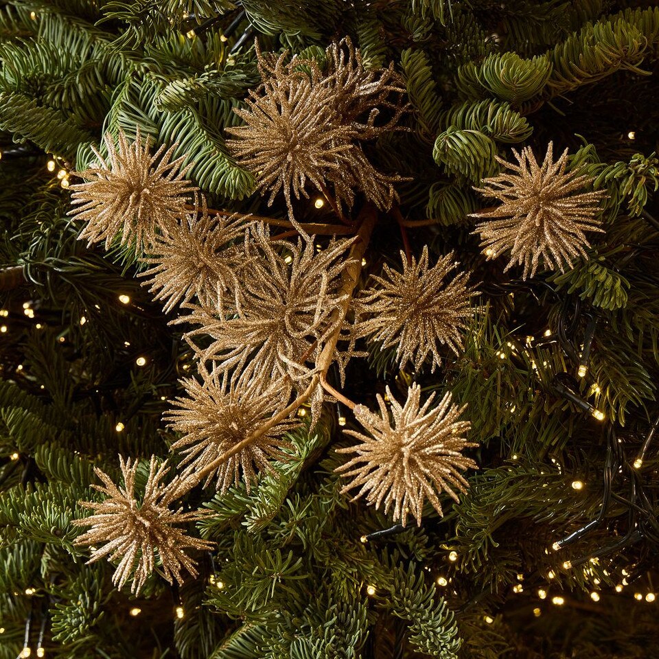Burst Tree Pick | West Elm Australia