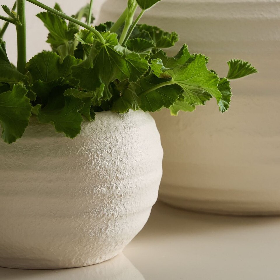 Rounded Ceramic Fluted Tabletop Planters | West Elm Australia
