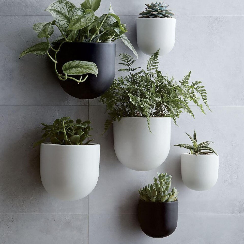 Ceramic Wallscape Planters | west elm Australia