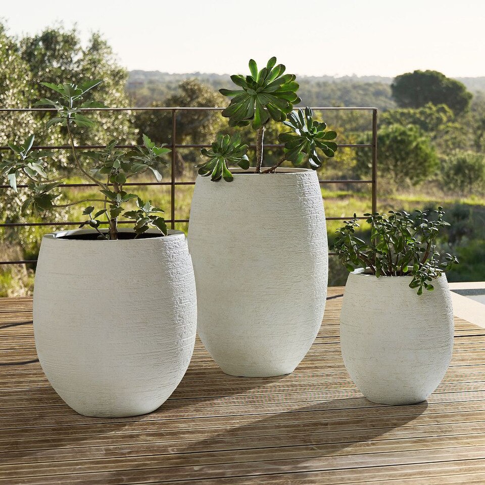 Curved Ficonstone Indoor/Outdoor Planters | West Elm Australia