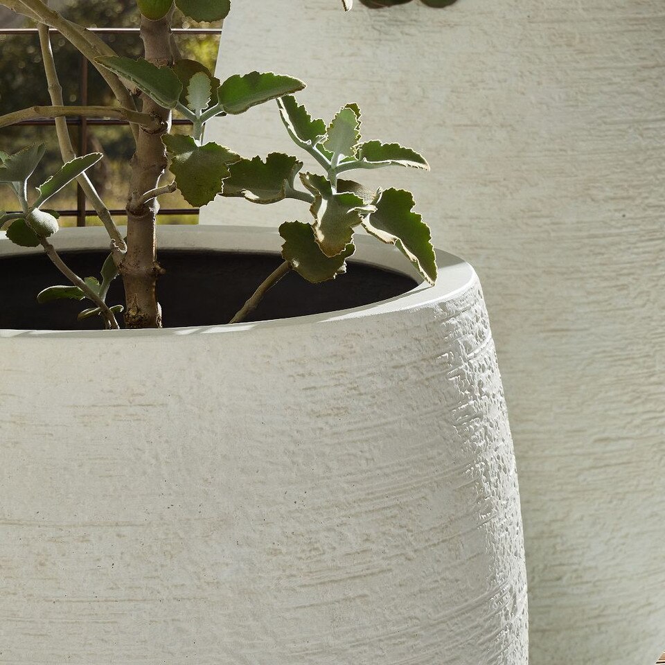 Curved Ficonstone Indoor/Outdoor Planters | West Elm Australia