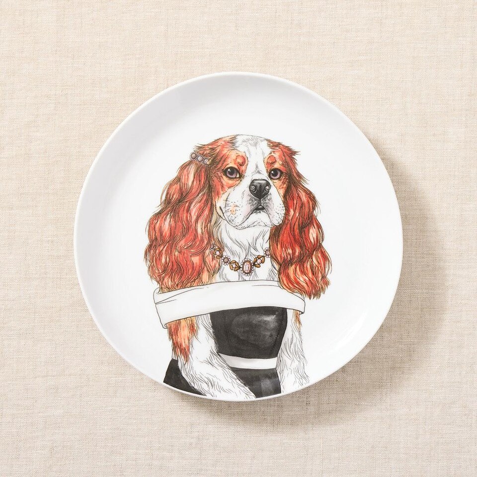 Dapper Animal Best in Show Salad Plates - West Elm Australia