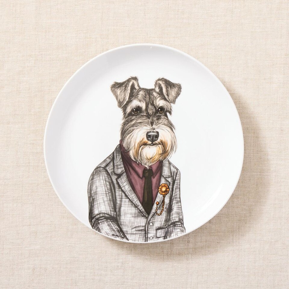 Dapper Animal Best in Show Salad Plates - West Elm Australia