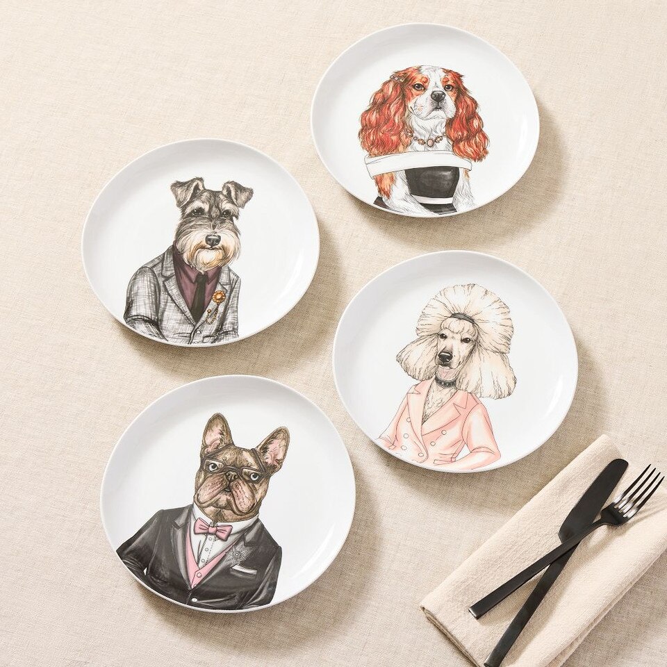 Dapper Animal Best in Show Salad Plates - West Elm Australia