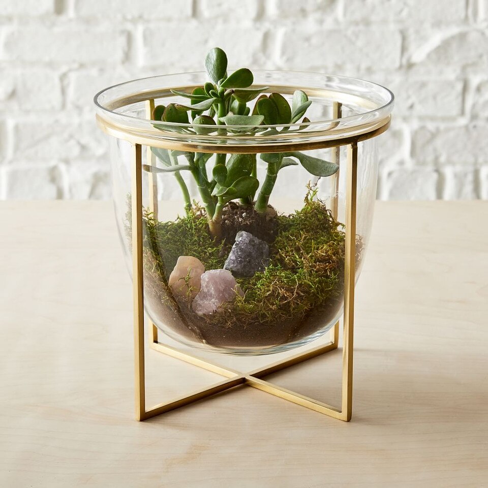 Eden Cross Base Terrarium | West Elm Australia
