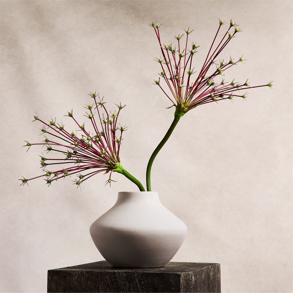 Faux Firework Allium Stem - West Elm Australia