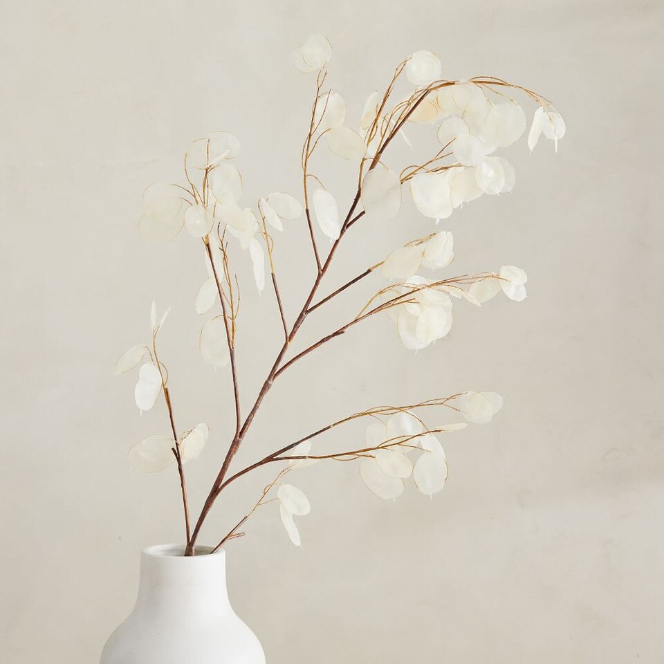 Faux Lunaria Branch - West Elm Australia