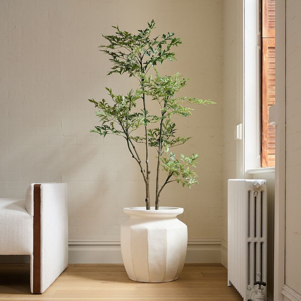 Faux Potted Phoenix Tree - West Elm Australia