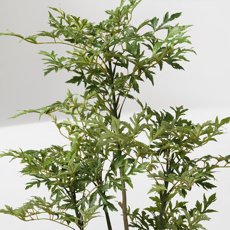 Faux Potted Phoenix Tree - West Elm Australia