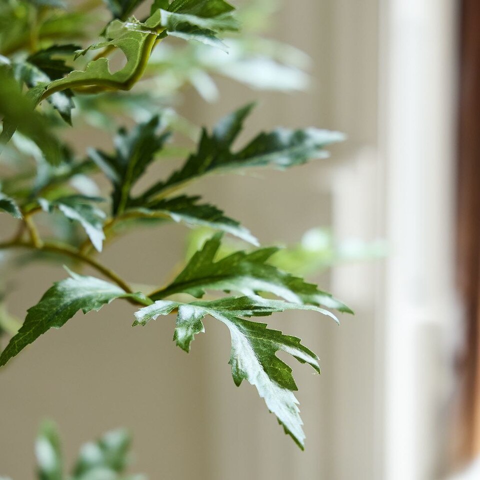 Faux Potted Phoenix Tree - West Elm Australia