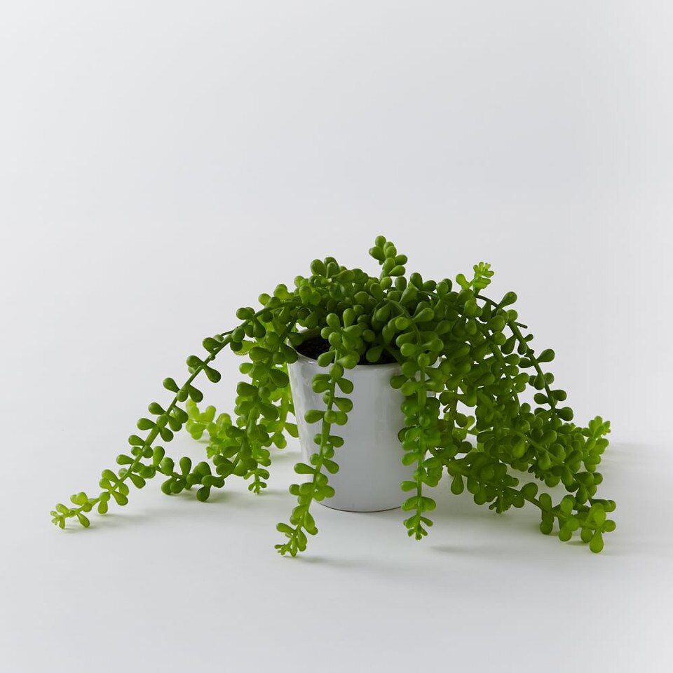 Faux Potted Trailing Succulent | West Elm Australia