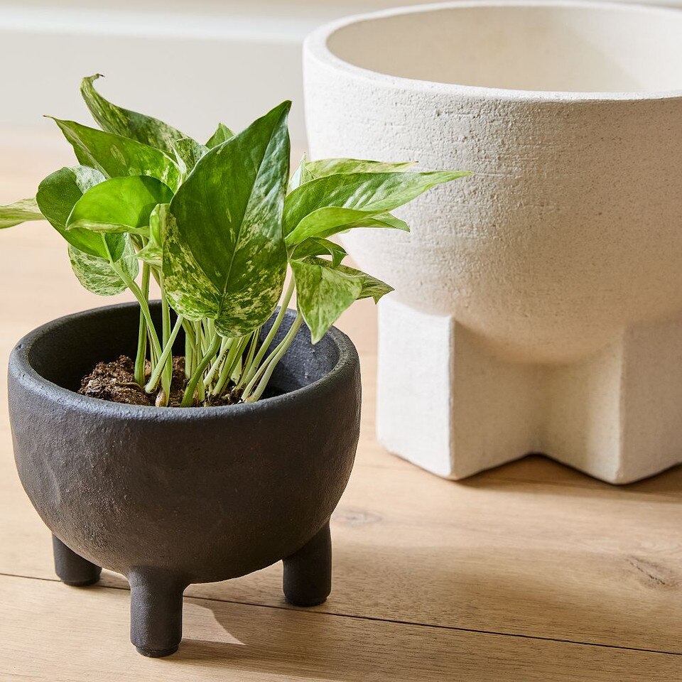 Form Studies Ceramic Footed Planters - West Elm Australia