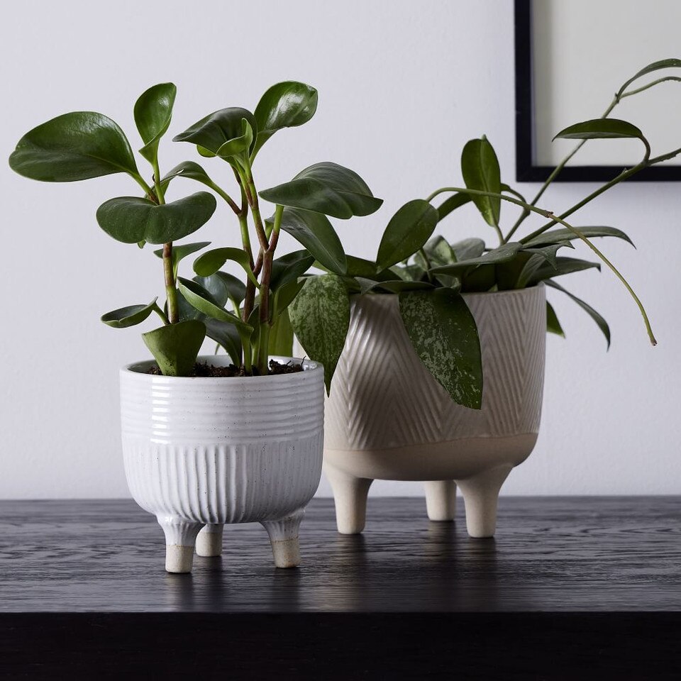 Homespun Tabletop Planter | West Elm Australia