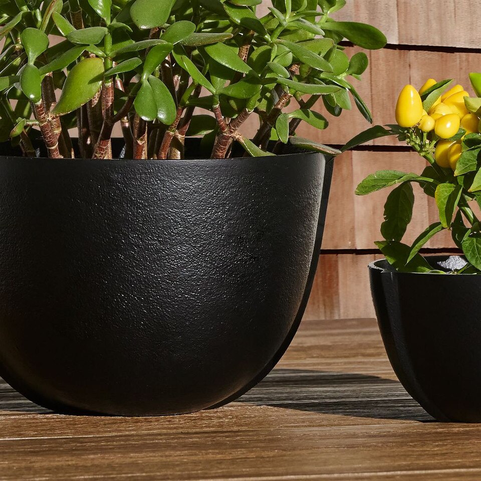 Imogen Iron Tabletop Planters - West Elm Australia