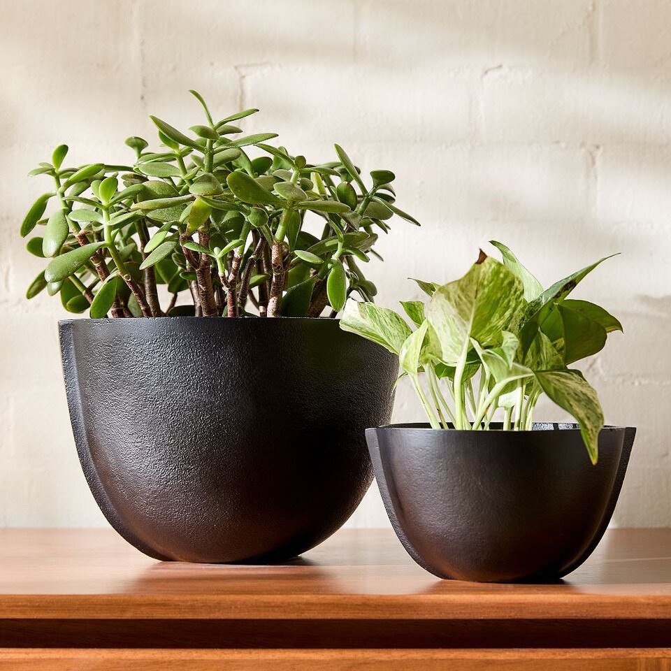 Imogen Iron Tabletop Planters - West Elm Australia