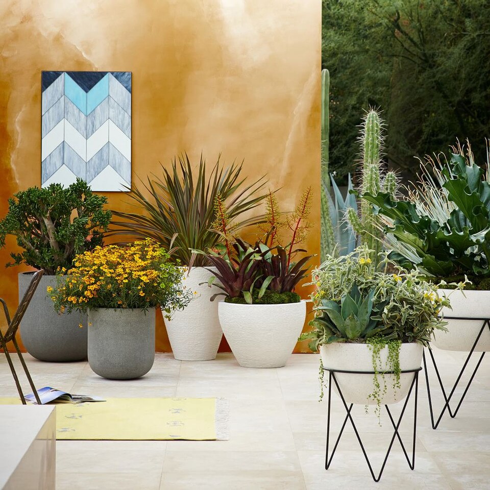 Iris Planter & Chevron Stand | West Elm Australia