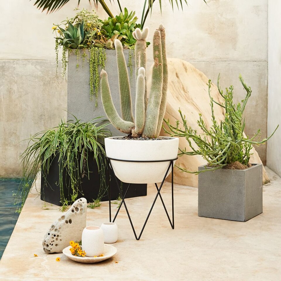 Iris Planter & Chevron Stand | West Elm Australia
