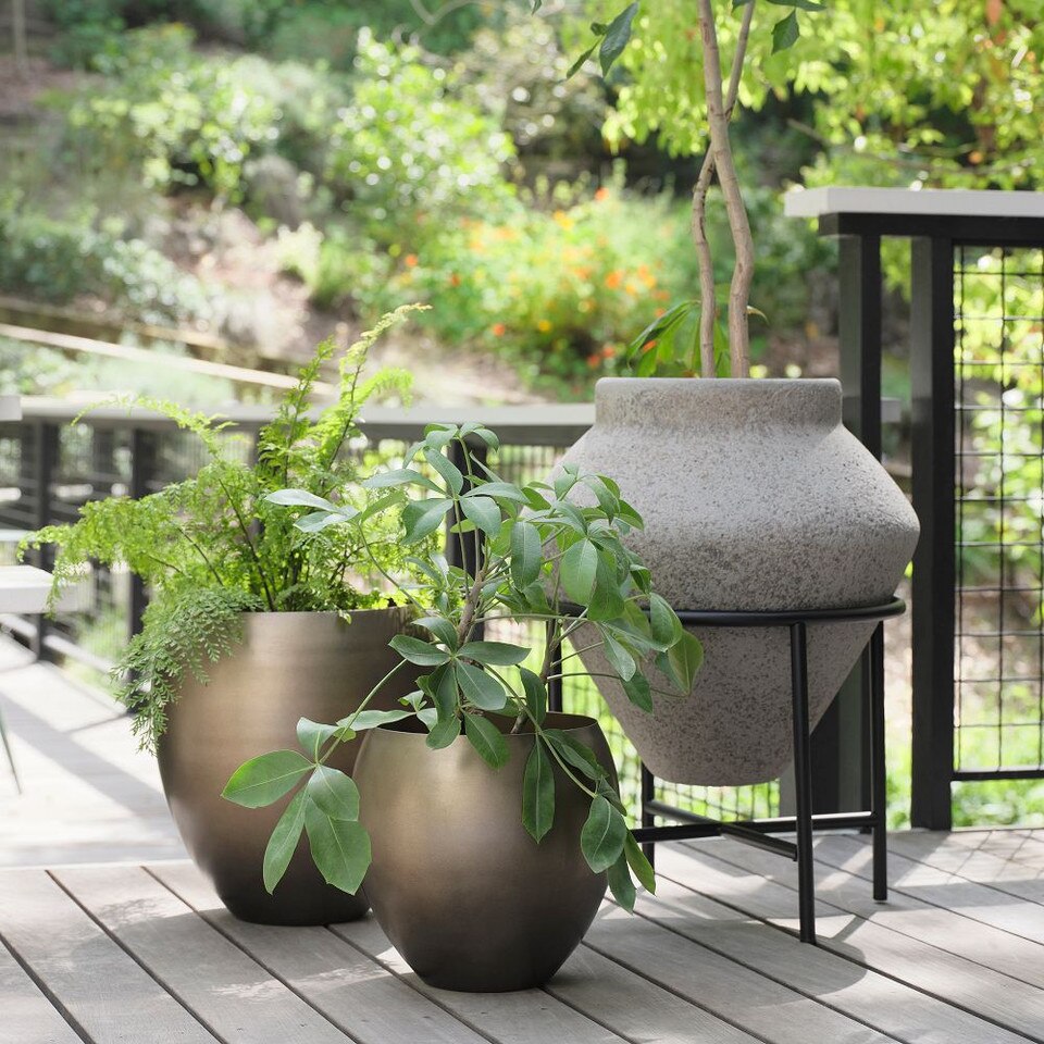 Organic Metal Floor Planters - West Elm Australia