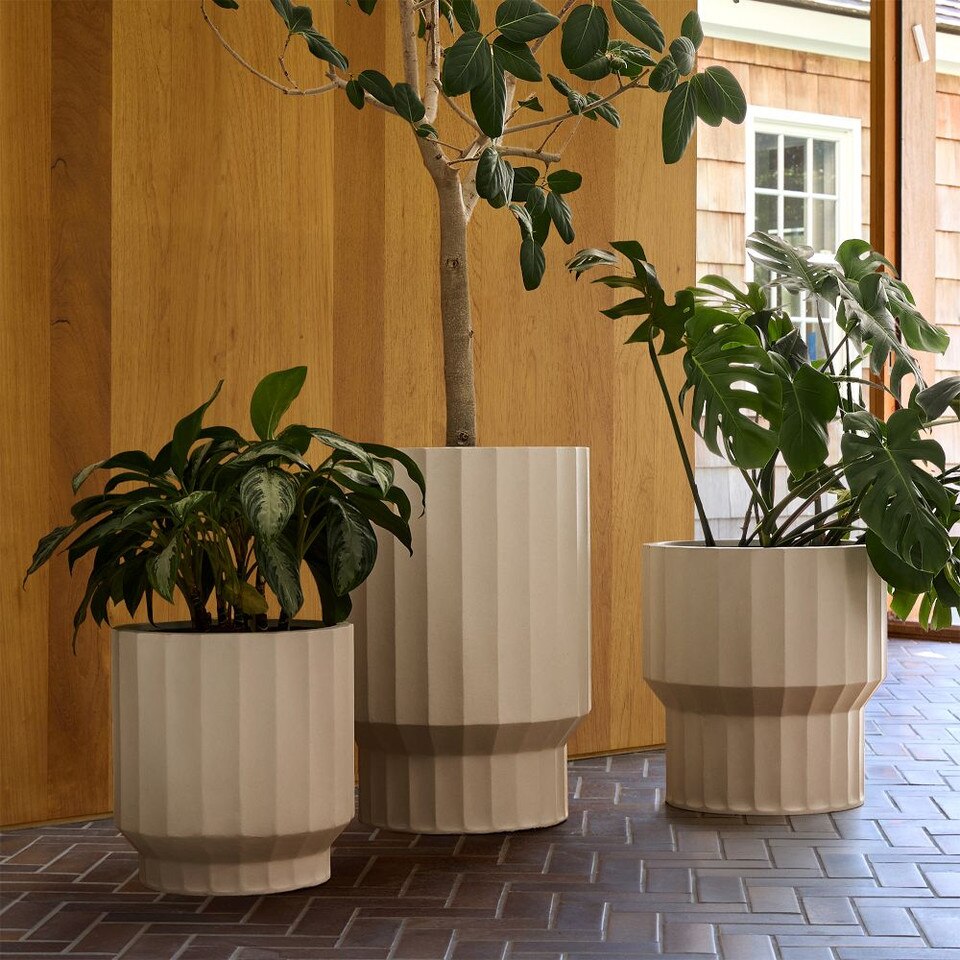 Parker Pedestal Ficonstone Indoor/Outdoor Planters - West Elm Australia