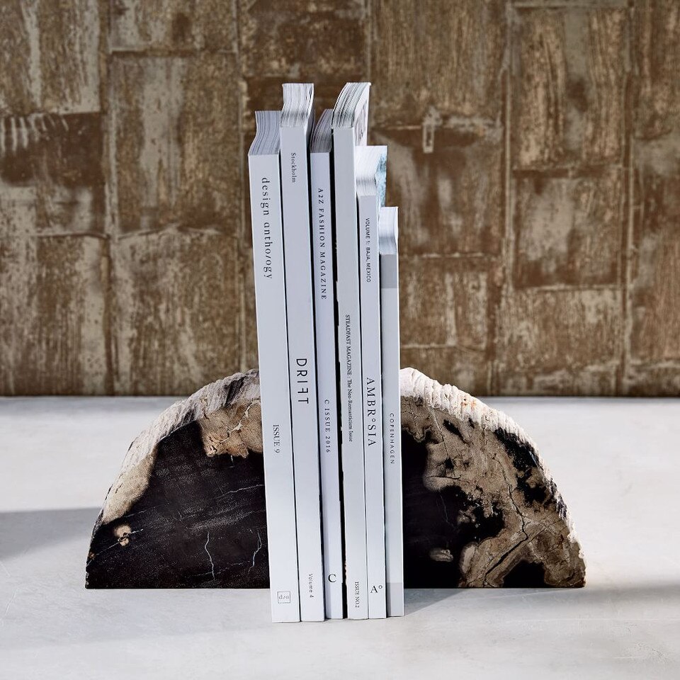 Petrified Wood Bookends - West Elm Australia