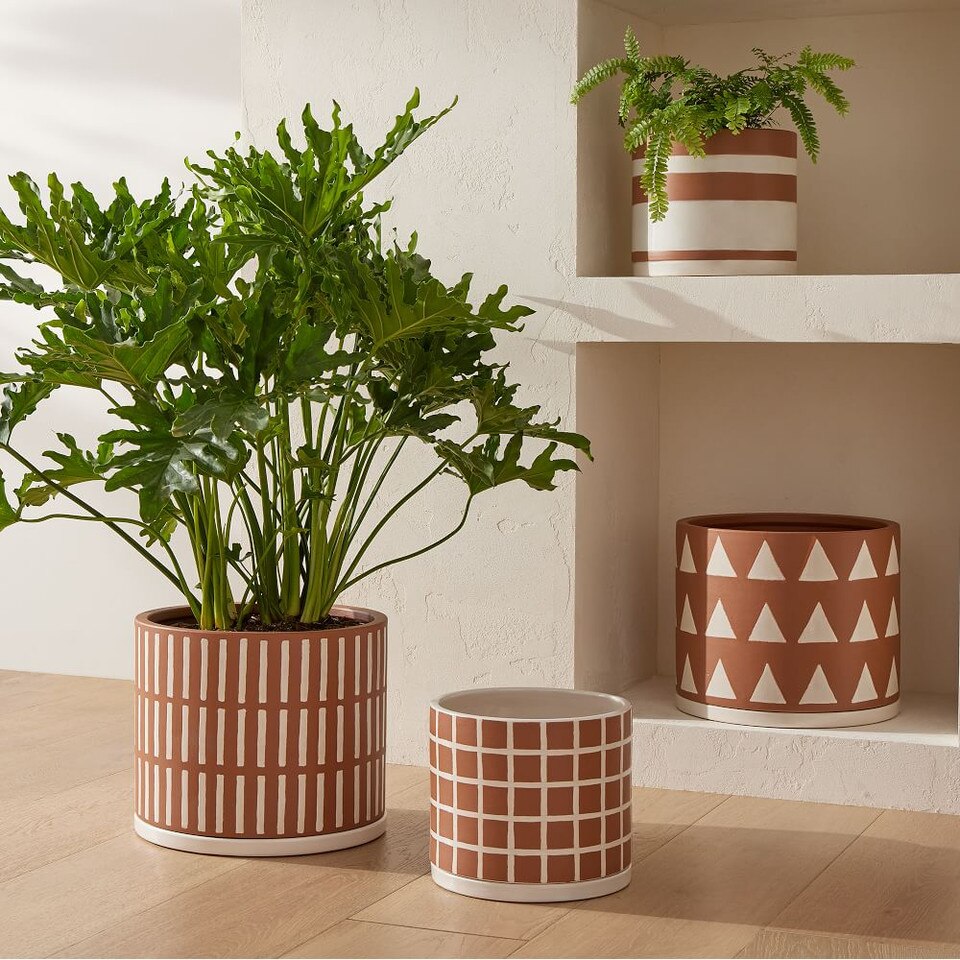 Rio Terracotta Indoor/Outdoor Cache Pots | West Elm Australia