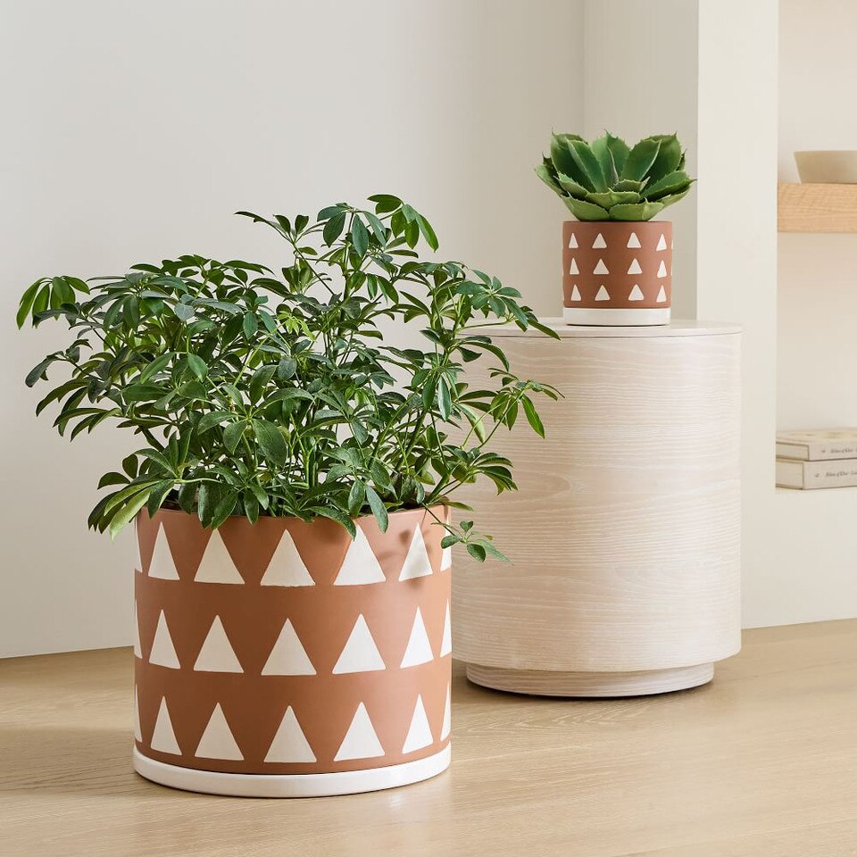 Rio Terracotta Indoor/Outdoor Cache Pots | West Elm Australia