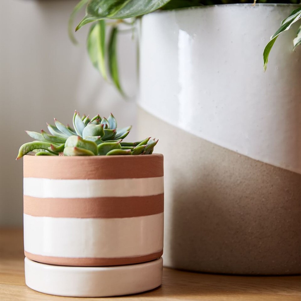 Rio Terracotta Indoor/Outdoor Cache Pots | West Elm Australia