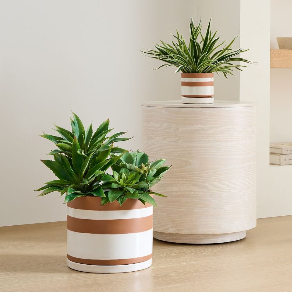 Rio Terracotta Indoor/Outdoor Cache Pots | West Elm Australia