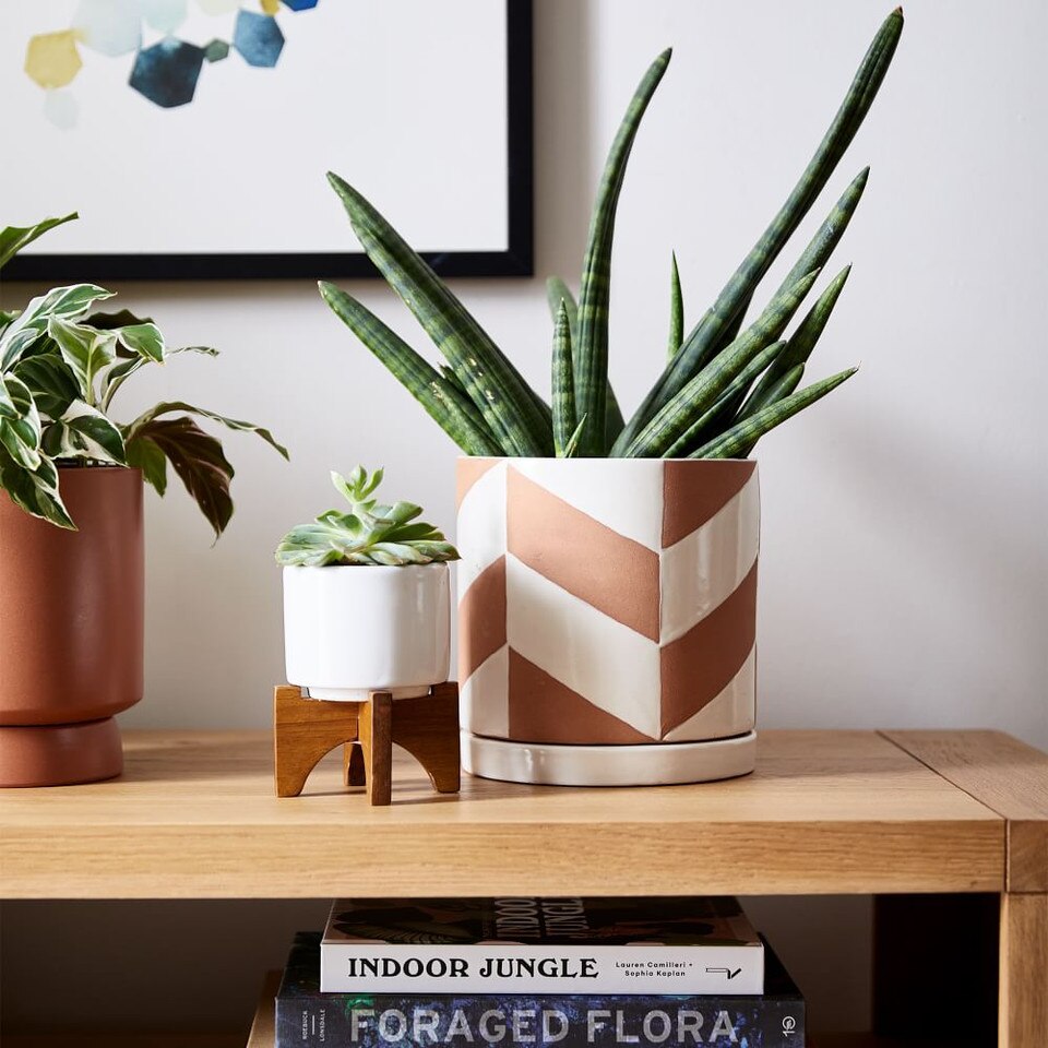 Rio Terracotta Indoor/Outdoor Cache Pots | West Elm Australia