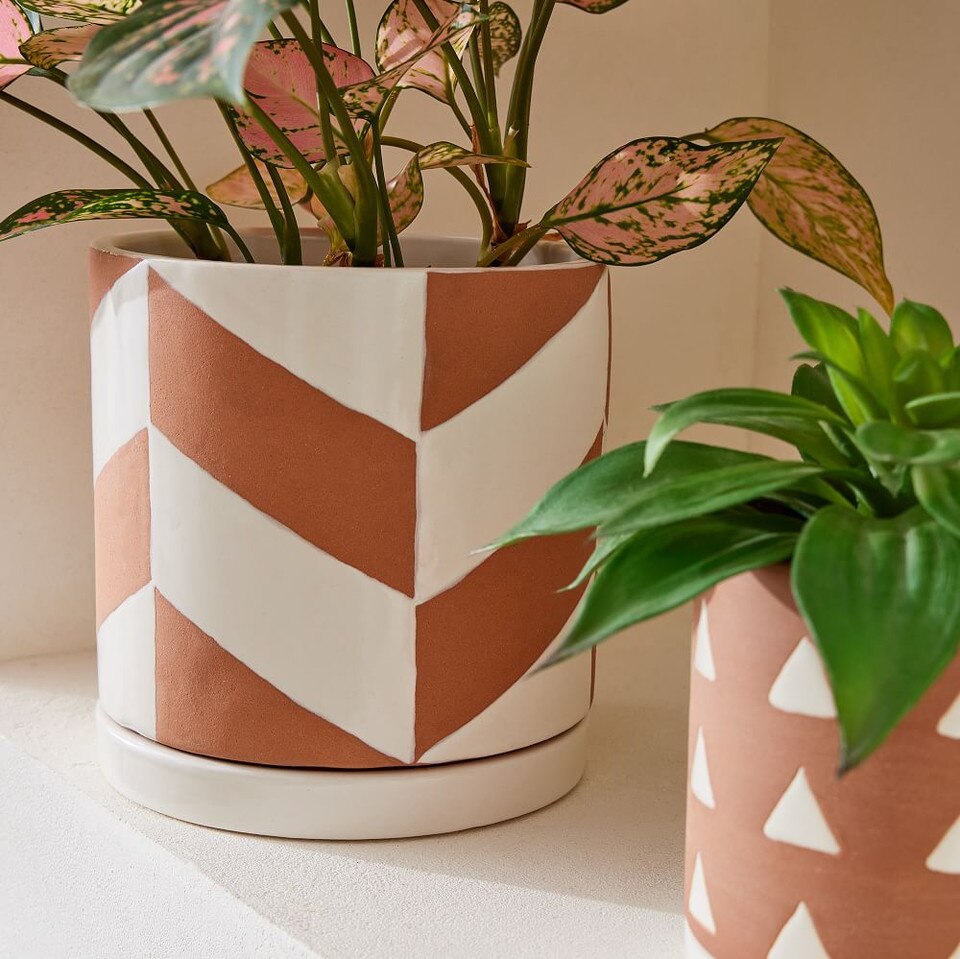 Rio Terracotta Indoor/Outdoor Cache Pots | West Elm Australia