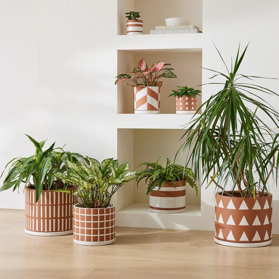 Rio Terracotta Indoor/Outdoor Cache Pots | West Elm Australia