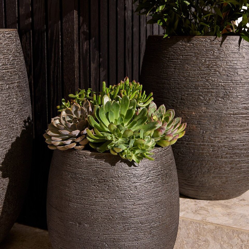 Curved Ficonstone Indoor/Outdoor Planters - West Elm Australia