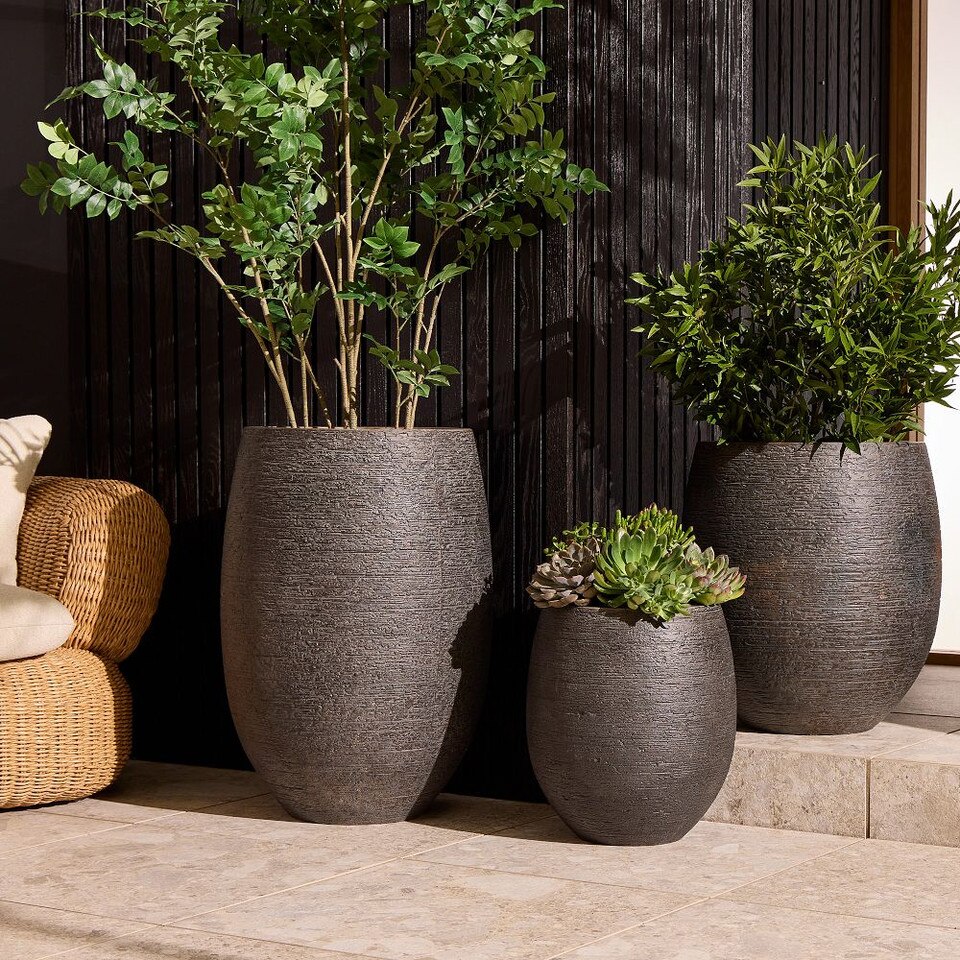 Curved Ficonstone Indoor/Outdoor Planters - West Elm Australia