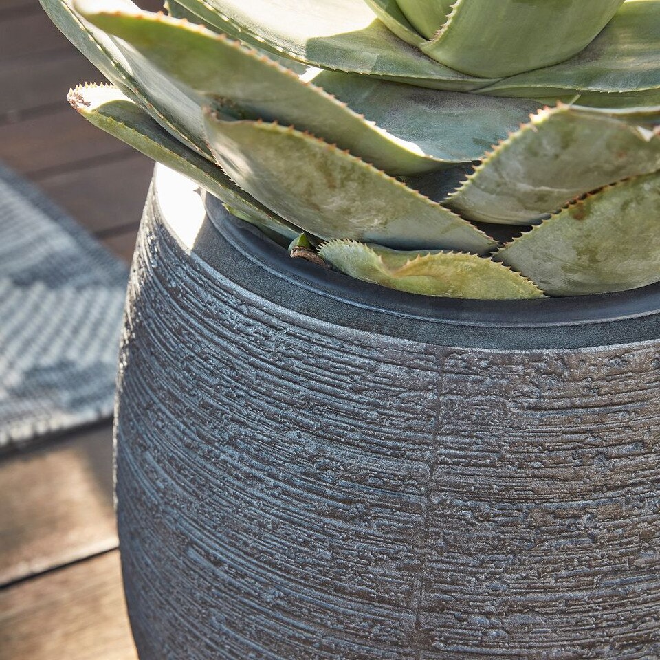 Curved Ficonstone Indoor/Outdoor Planters - West Elm Australia