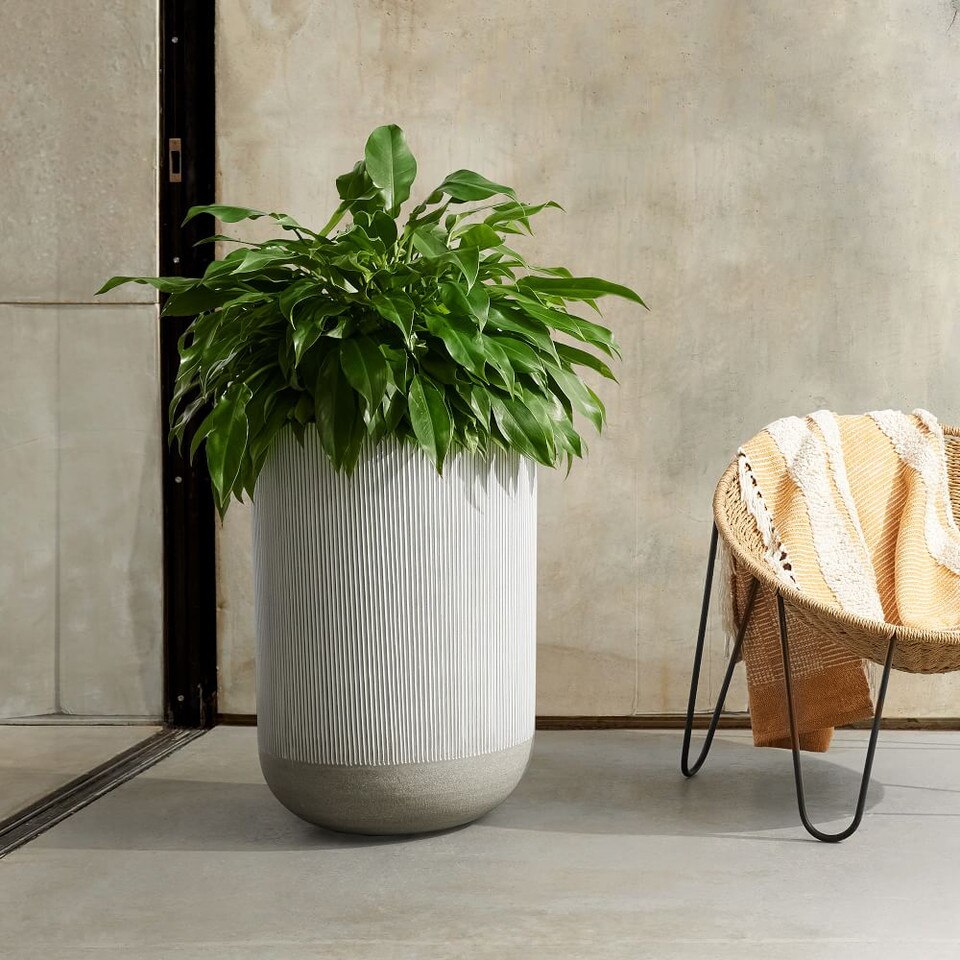 Textured Radius Ficonstone Indoor/Outdoor Planters - West Elm Australia