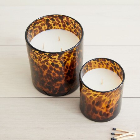 giant tortoise shell candle