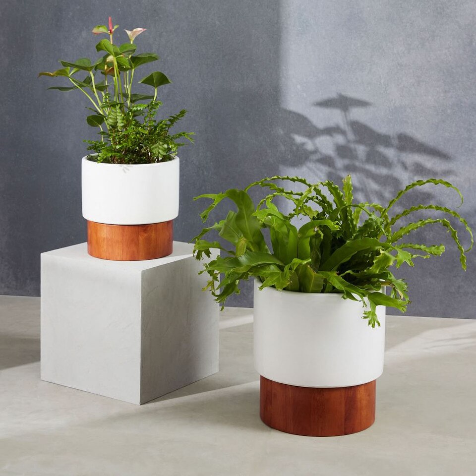 Wood Base Planters | West Elm Australia