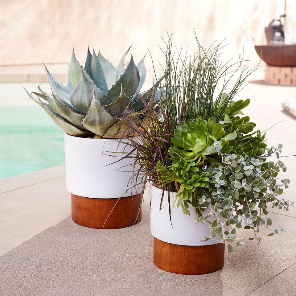 Wood Base Planters | west elm Australia